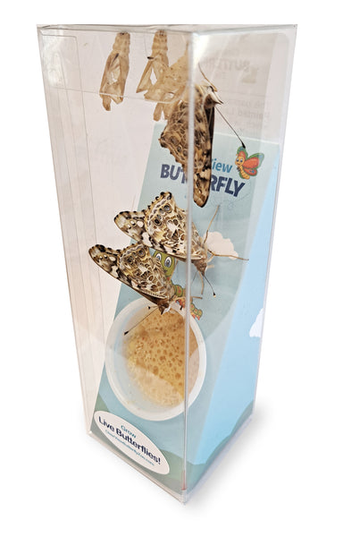 ClearView Butterfly Zoo - Easy Kit! | Swallowtail Farms, Inc.